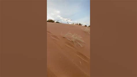 ددسن اكسبلور Youtube