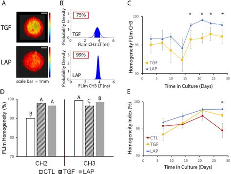 Imaging Based Homogeneity Index For The Biochemical And Structural Download Scientific Diagram