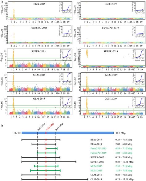 Identification Of Sex Determination Locus And Development Of Marker