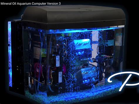 Aquarium Pc Build At Rachel Morgan Blog