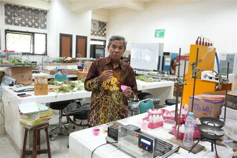 Dosen Umy Kembangkan Pupuk Organik Cair Berbasis Nano Abu Sawit Untuk Pertanian Berkelanjutan Umy