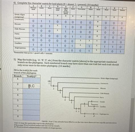 solved i need help i d to know if the character matrix i