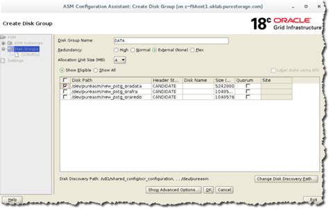 Creating New Oracle 18c Asm Disk Groups Ron Ekins Oracle