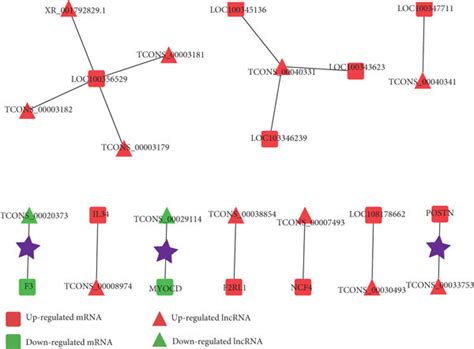 Lncrna Mrna Cis Regulation Network The Lncrna Mrna Cis Regulation