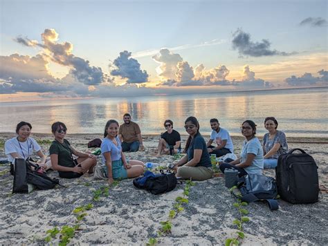 Pi Conjugated Polymers Unit Christine Luscombe Oist Groups