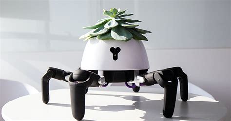 This Robot Planter Follows The Sunlight And Throws Tantrums If You Dont