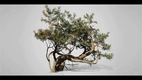 Speedtree Tutorial Basics 2 Youtube