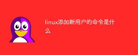 linux添加新用户的命令是什么 linux运维 php中文网