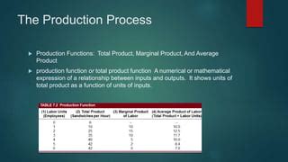 Production Behaviour PPTX