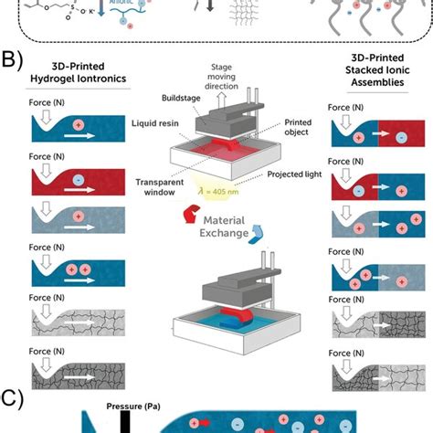 Chemistry And Fast Bottom‐up Fabrication Of Polyelectrolyte Hydrogels Download Scientific