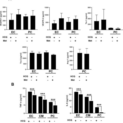 Fatty Acid Analysis Gas Chromatography Fatty Acid Analysis Indicated