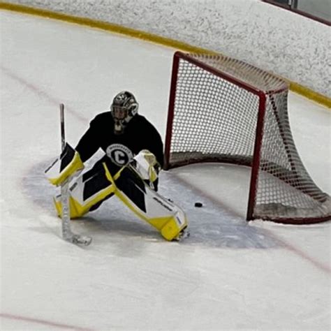 Mathieu Dozois Stats Contract Salary And More