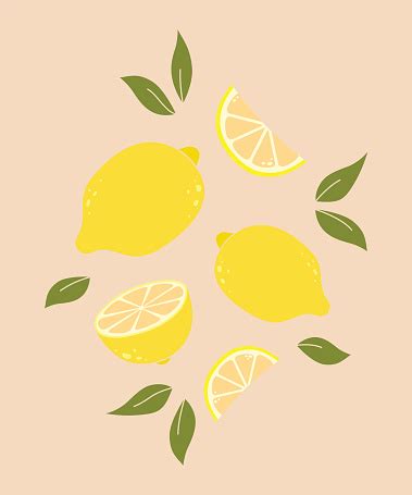 Lemon Vector In Boho Style Design For Pattern Logo Posters Invitation