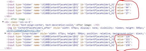 Javascript Value From Hidden Field In Panel ASP NET Has Empty Value