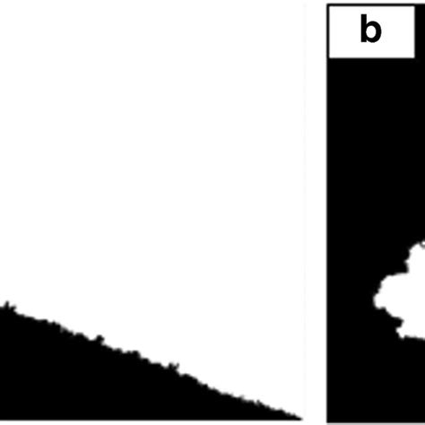 The Binary Image Produced After Noise Reduction A The Result From A