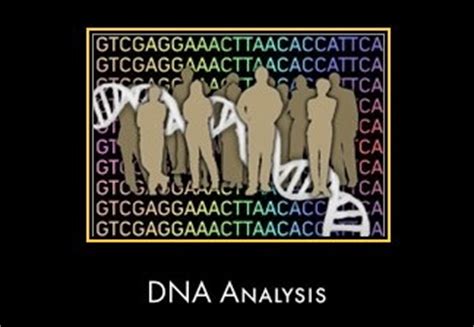 Morphing From Male To Female In A DNA Sample