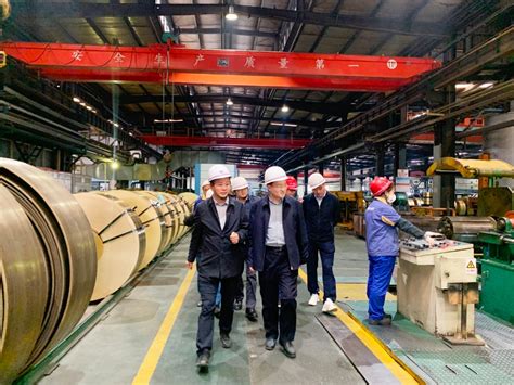 芜湖市副市长蔡毅一行莅临楚江调研 新闻动态 楚江新材