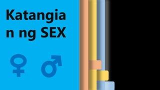 Konsepto Ng Gender At Sex PPTX