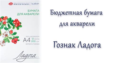 Акварельная бумага Гознак Ладога. - YouTube