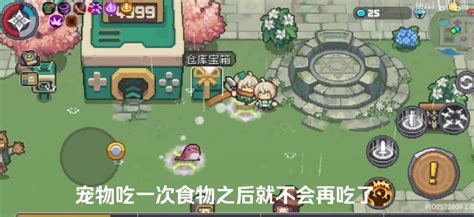 元气骑士前传快速提升宠物亲密度方法分享 3楼猫