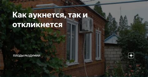 Как аукнется так и откликнется Плоды раздумий Дзен