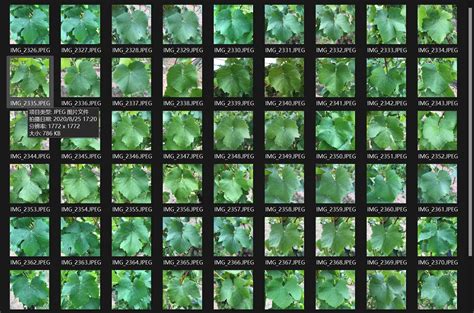 探险家的数据窝 数据是第一生产力