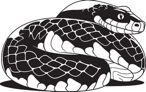 Pythons Beauty Unveiled An Artistic Depiction Of Serpents Graceful Movements And Patterns