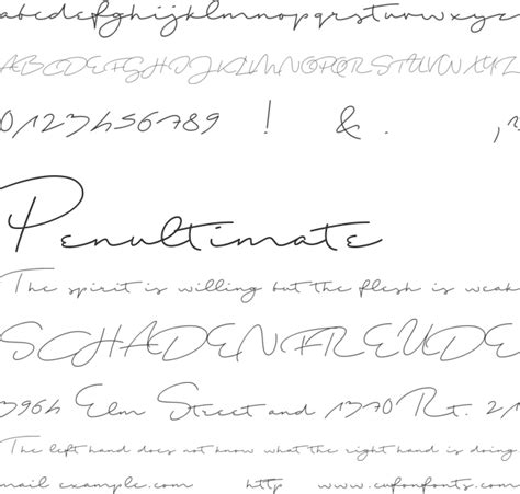 Shopping Script Demo Font Download Free For Desktop And Webfont