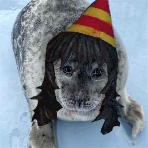 Create A Noelles Attraction List 3c Tier List Tiermaker