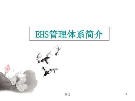 EHS管理体系简介回顾培训资料 word文档免费下载 亿佰文档网