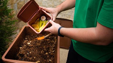 Quick Composting Tricks Washington Gardeners Swear By In August