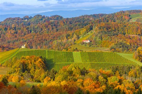 오스트리아와 슬로베니아 국경에 있는 유명한 지역인 사우스 스티리아의 매력적인 작은 교회로 구불구불한 언덕 포도밭 그림 같은 마을 와인 선술집이 있는 유명한 지 0명에 대한