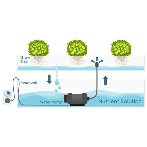 Timing Ebb And Flow Cycles Agrowtronics Iiot For Growing