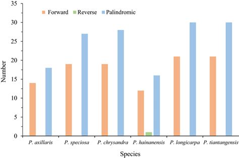 Number Of Long Repeats In The Cp Genome Sequence Of Chinese Polyspora Download Scientific