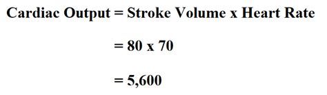 How To Calculate Cardiac Output Example