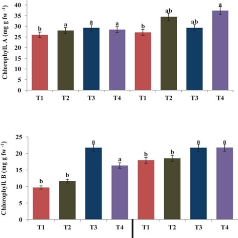 Effect Of Adding Sheep Manure And Varies Phosphorus Sources On Some Download Scientific Diagram