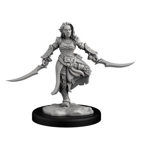 Drow Assassin And Drow Priestess — Games Unlimited Llc