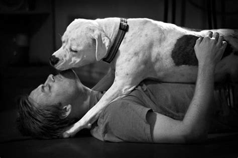 21 Touching Photos Of Relationship Between Dogs And Humans Design Swan