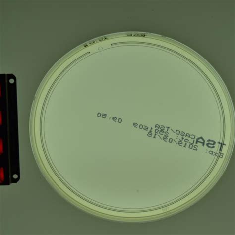 Fase Object Detection Dataset By Unitec