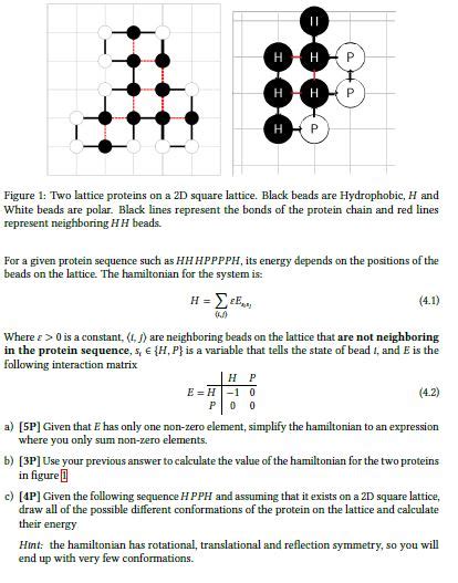 Solved Figure 1 Two Lattice Proteins On A 2d ﻿square