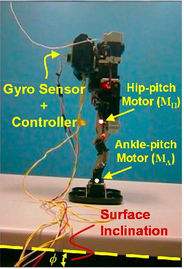 Figure 1 From Gyro Sensor Based Vibration Control For Dynamic Humanoid