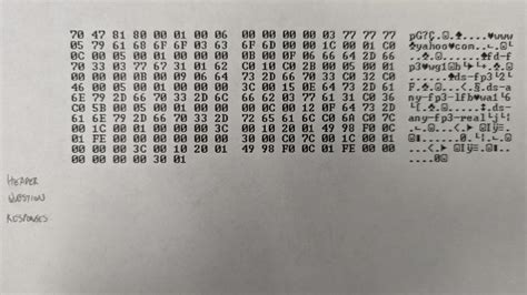 Solved Decoding Dns Header How Many Questions Can You Decode