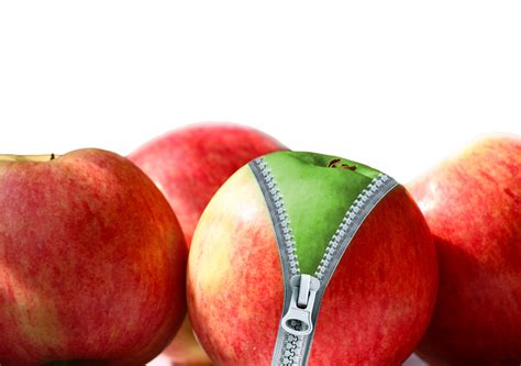 How To Detect And Remove Duplicate Content On Your Website 702 Pros