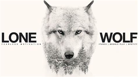 Wolf Motivation Wallpapers Top Free Wolf Motivation Backgrounds Wallpaperaccess