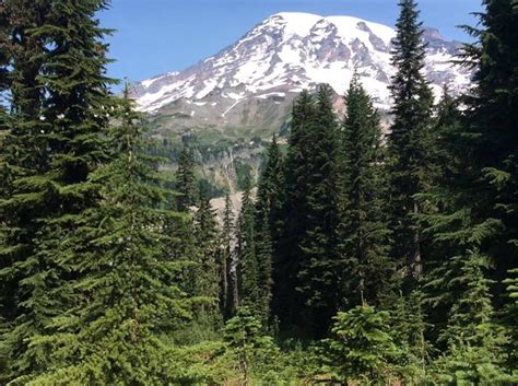 Ccna Flash Cards The Fastest Way To Learn Ccna Ebook