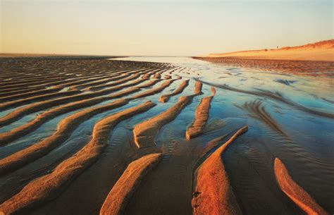 Tidal Patterns Co So Copley Society Of Art