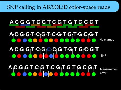 Ppt Informatics For Next Generation Sequence Analysis Snp Calling