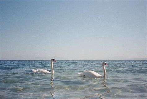 Daniel Brady Centre For British Documentary Photography