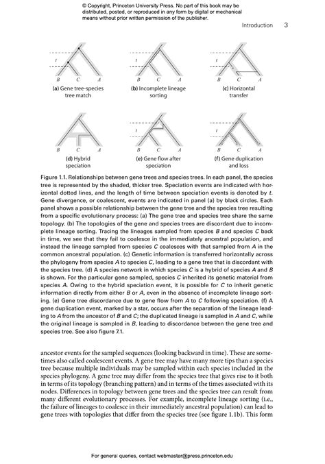 Species Tree Inference Princeton University Press