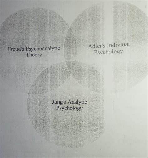 Activity 1 Directions Using The Venn Diagram Compare And Contrast The